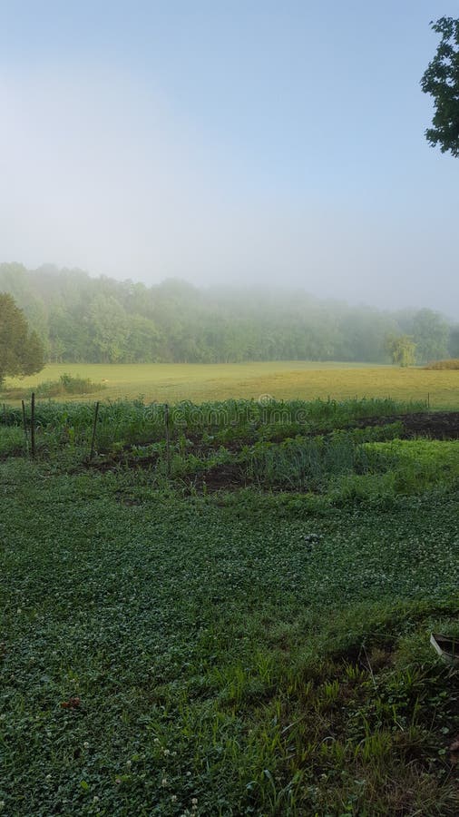 Morning Garden on a Nice Sunny Spring Day Stock Image - Image of garden ...