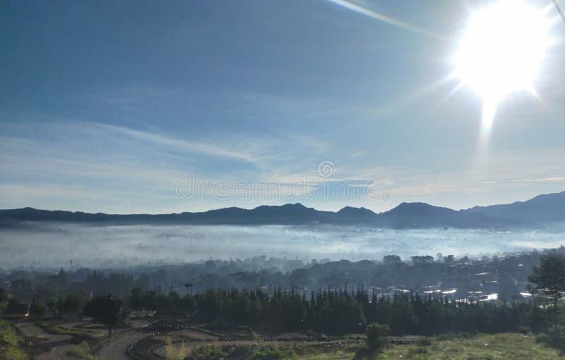 Morning Glory at Northern Region Stock Photo - Image of northern ...