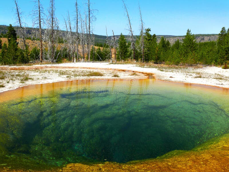 Morning Glory Pool stock image. Image of wyoming, water - 11368317