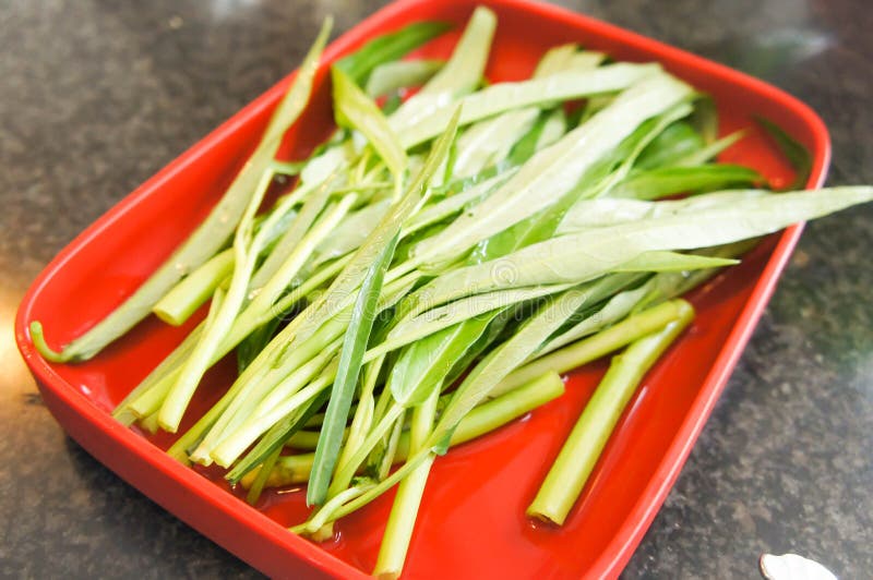 Morning Glory or Swamp Cabbage Stock Photo - Image of serve, cook: 78469540
