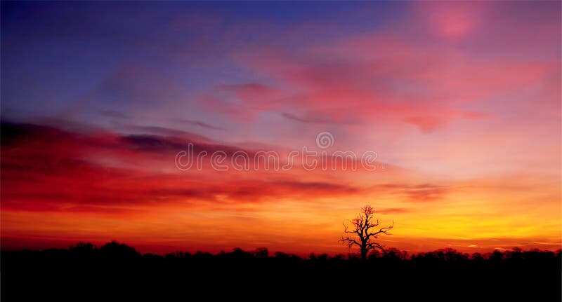 Morning Glow stock photo. Image of scene, colour, aspect - 3334618