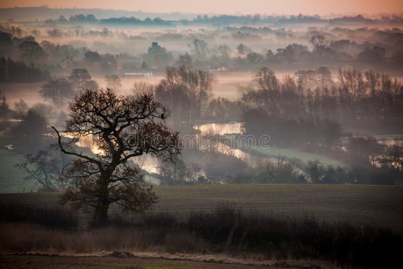 Morning Glow Across the Fields and Lakes Stock Image - Image of bird ...