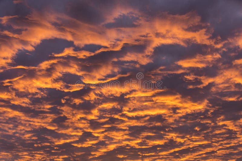 Morning glow stock image. Image of glow, cloud, morning - 101676101