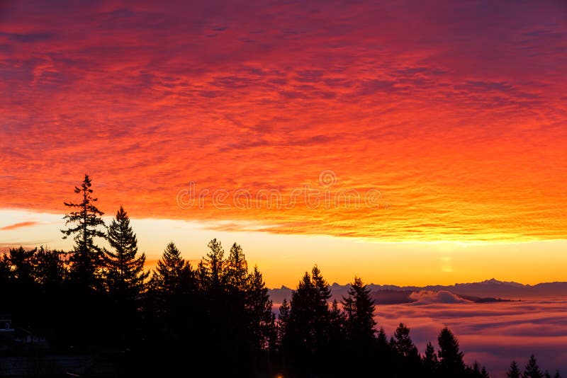 Morning glow stock image. Image of glow, cloud, morning - 101676101