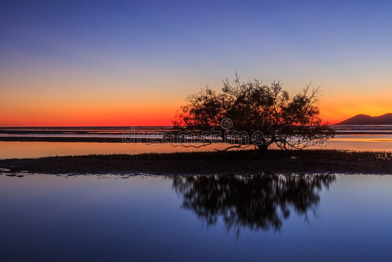 Morning Glow stock image. Image of morning, nature, tropical - 62543389