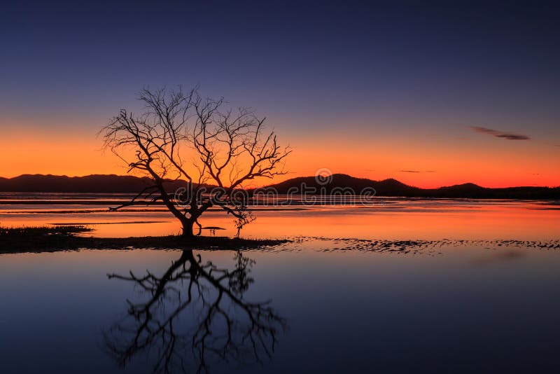 Morning Glow stock photo. Image of colour, morning, glow - 62543430