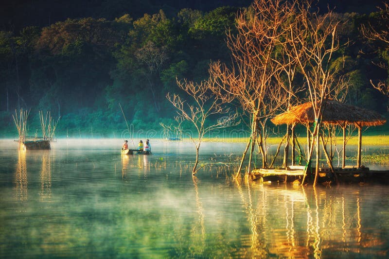 Morning golden light stock photo. Image of lake, morning - 276581140