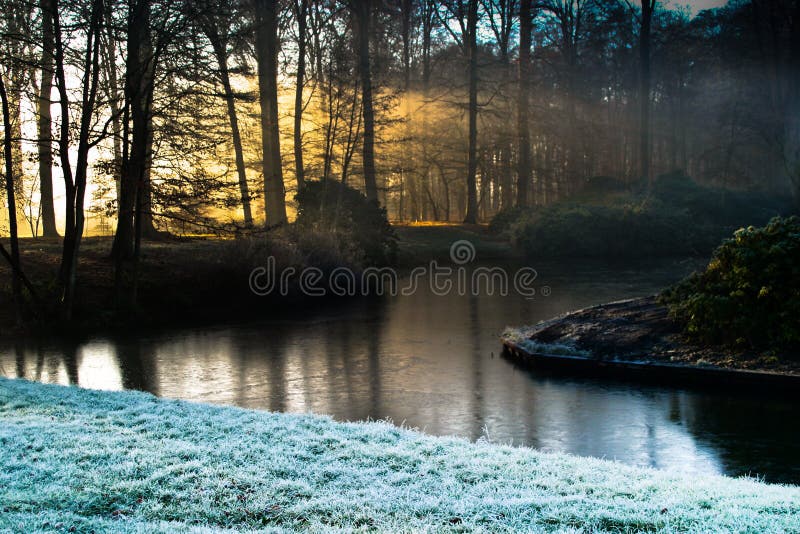 Morning Golden Mist Across a Pond Stock Image - Image of streaming ...