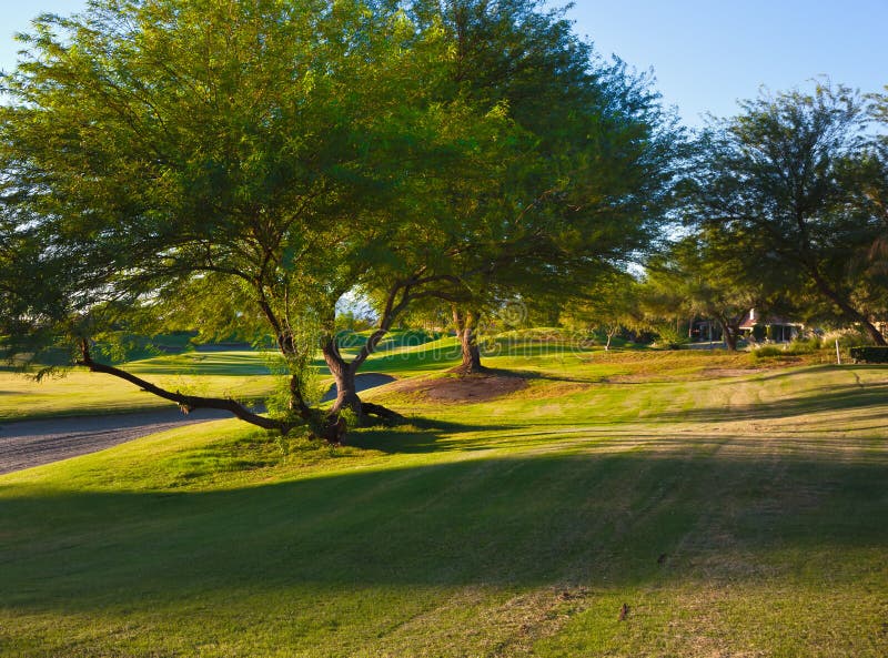 Morning on the golf course stock photo. Image of fairway - 16008684