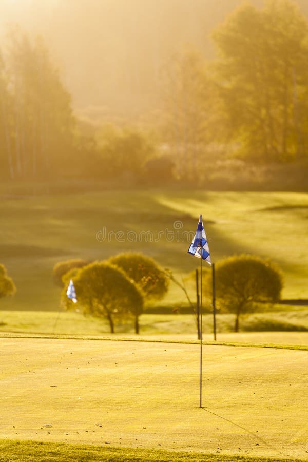 Morning golf stock image. Image of field, detail, leisure - 31396123