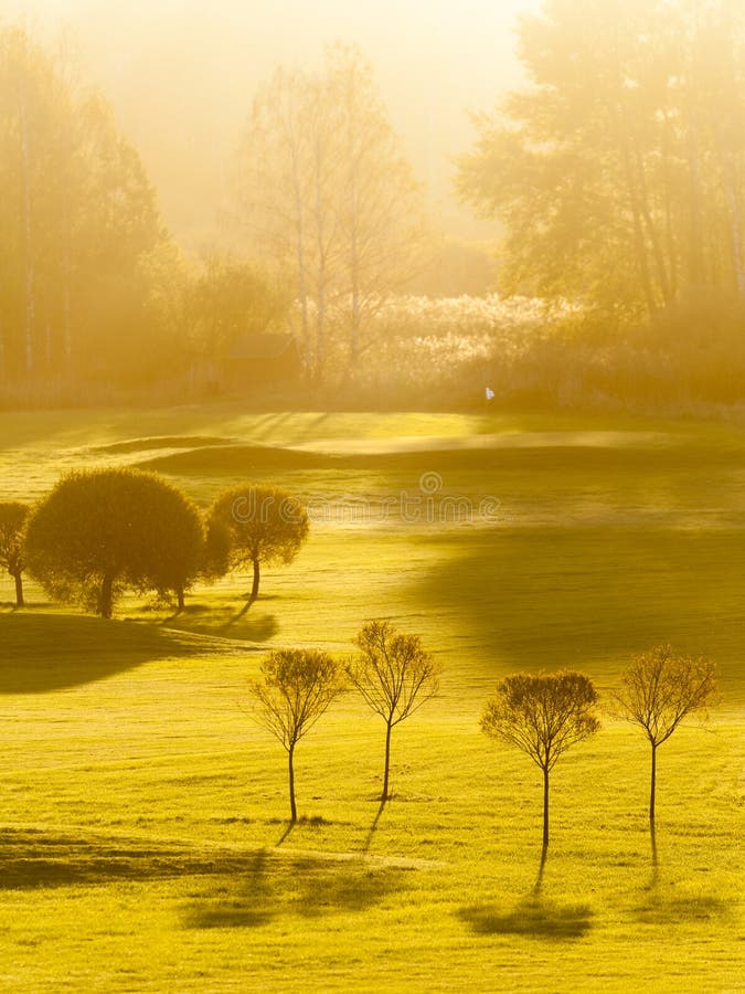 Morning golf stock image. Image of climate, landscape - 15356395