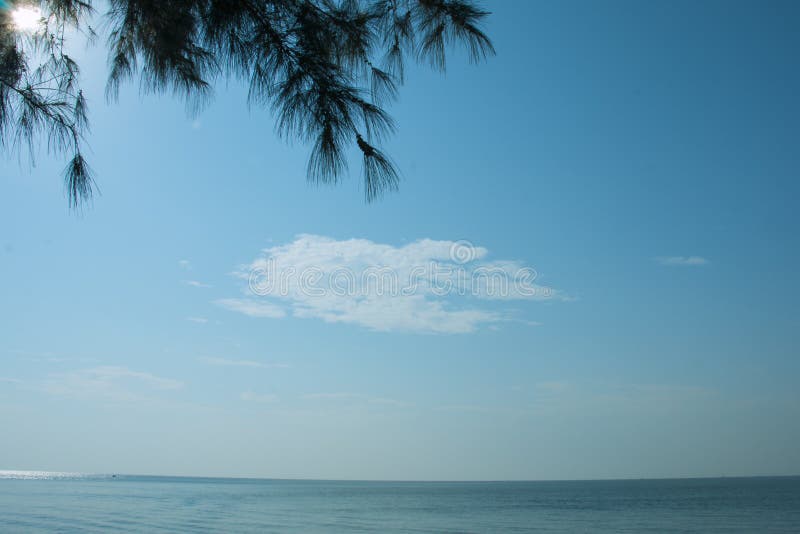 Morning stock photo. Image of morning, happy, blue, life - 48571752