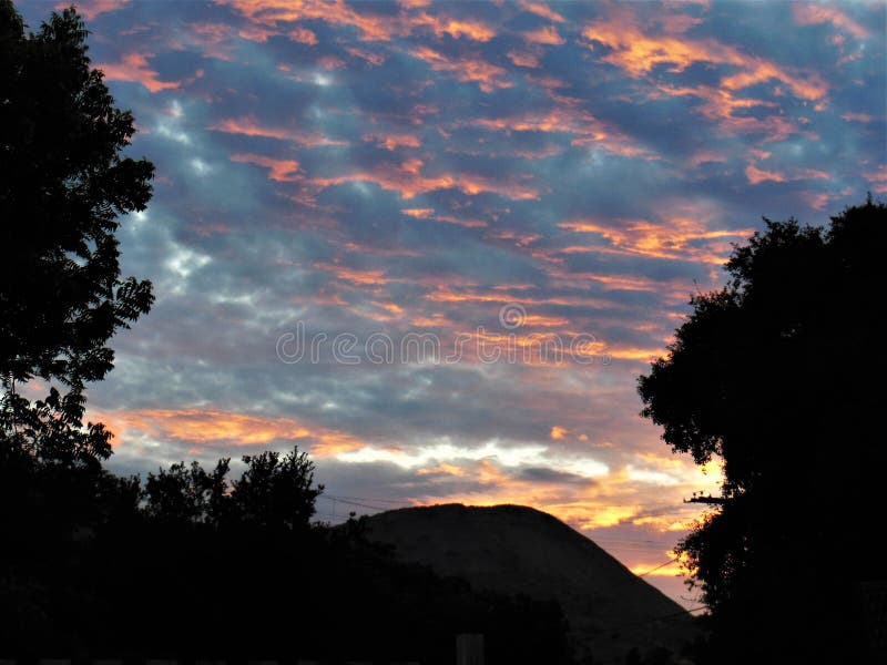 Morning Has Broken stock photo. Image of bushes, breaking - 223261656