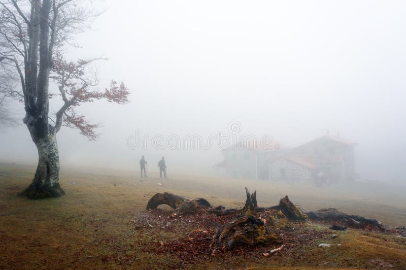 Morning hiking stock photo. Image of activity, hiker - 30117808