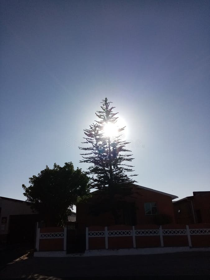 Morning House Tree Sky Blue Light Stock Photo - Image of streetlight ...