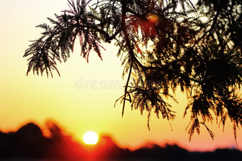 Morning Hue stock photo. Image of dawn, rising, highlight - 72611880