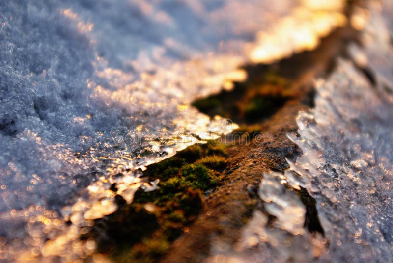 Morning ice stock image. Image of cold, snow, detail - 11757093