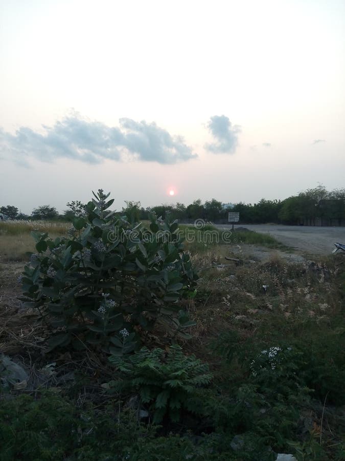 Morning stock photo. Image of morning, journey - 71208408