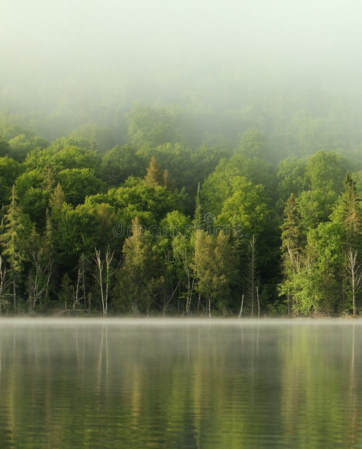 Morning lake stock photo. Image of reflection, green - 25197116
