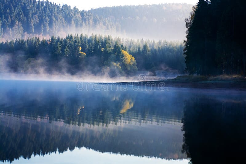 Morning lake stock image. Image of tree, outdoors, vitality - 7521895