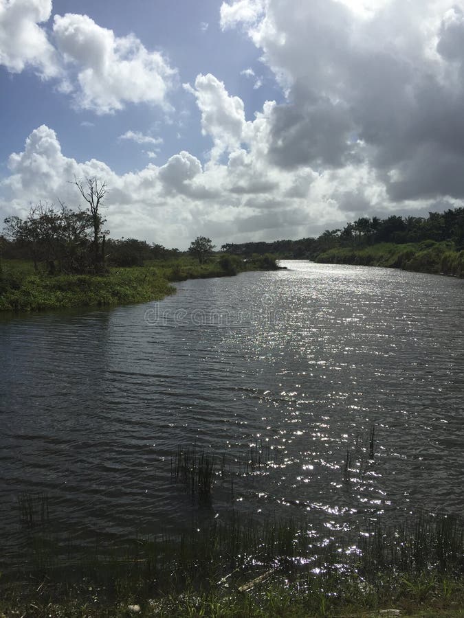 A morning lake editorial photo. Image of morning, lake - 51849156