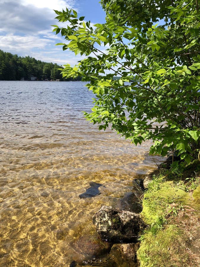 Morning at the lake stock photo. Image of clouds, lake - 153835870