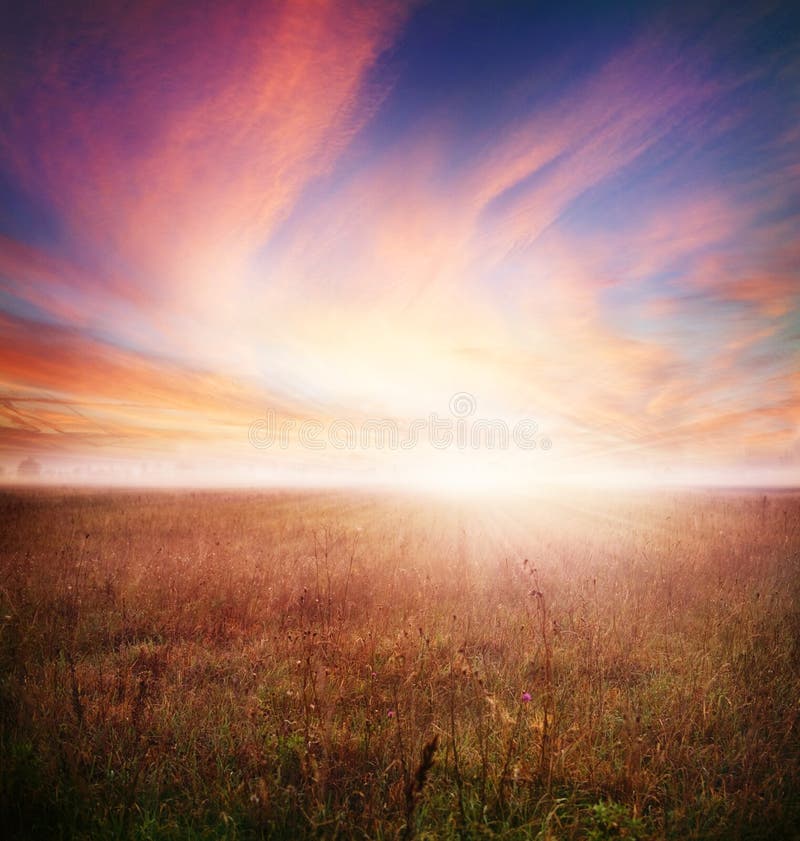 Morning Landscape stock image. Image of colour, grass - 16021481