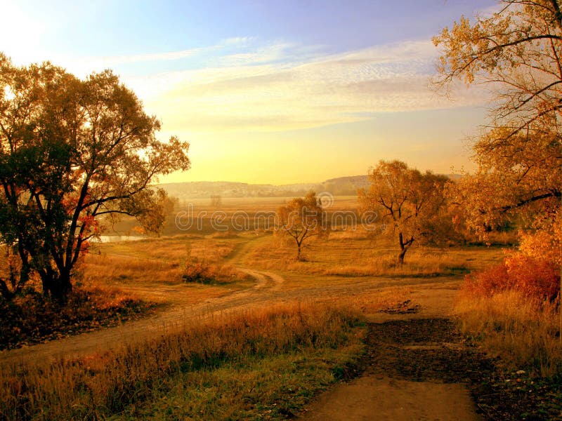 Morning Landscape stock photo. Image of flowers, autumn - 16021568