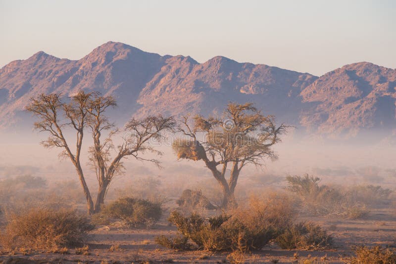 Morning Landscape in Desert Stock Photo - Image of landscape, desert ...