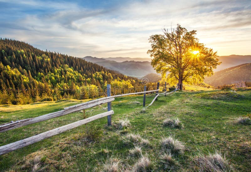Morning Landscape stock photo. Image of flowers, autumn - 16021568