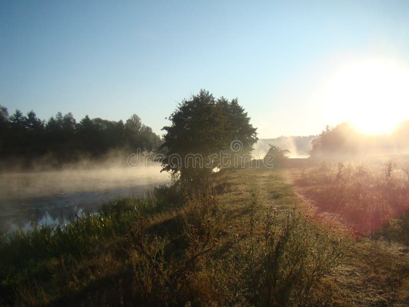 Morning Landscape on the River. Stock Image - Image of grass, cloudless ...