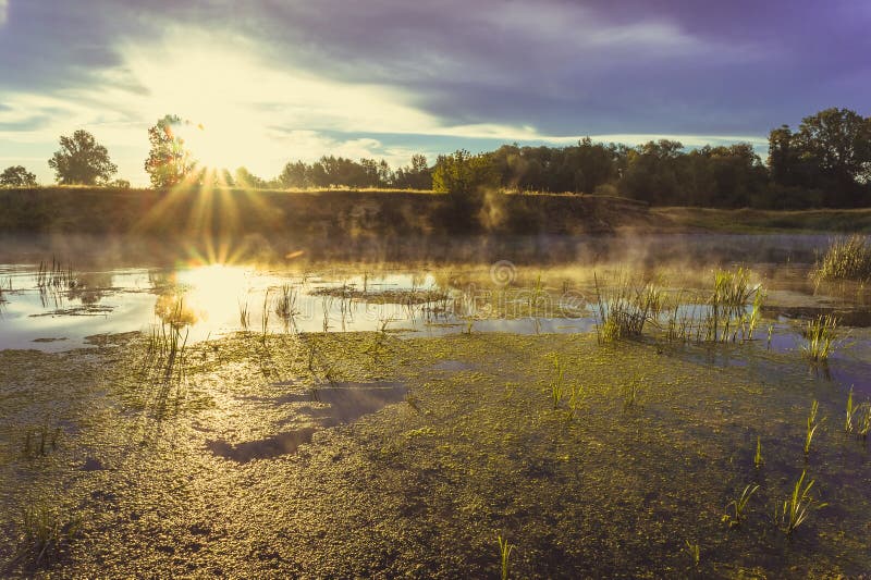 Morning Landscape on a River with Mist Over the Water Stock Image ...