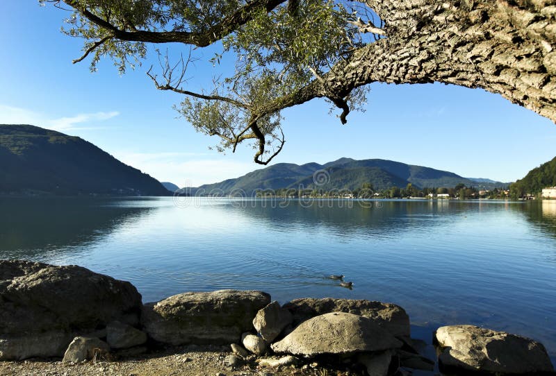 Morning of Late Summer,lake Stock Image - Image of swiss, green: 21389681