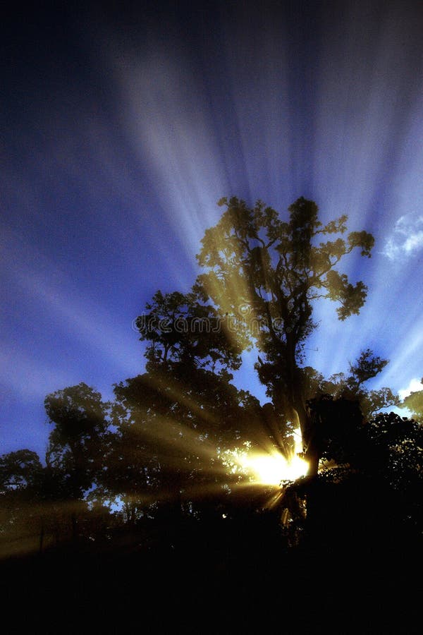 Morning light stock image. Image of bluelight, hazy, filtered - 6356269