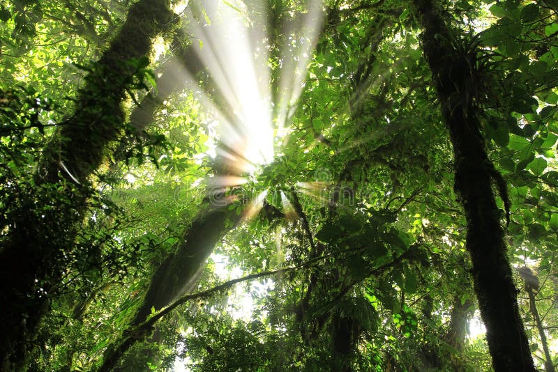 Cloud Forest Dome at Gardens by the Bay in Singapore Stock Image ...
