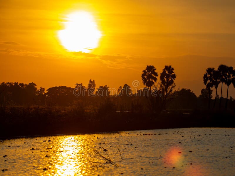 Morning Light or Evening Light, Landscape Shadow of Palm Trees Stock ...