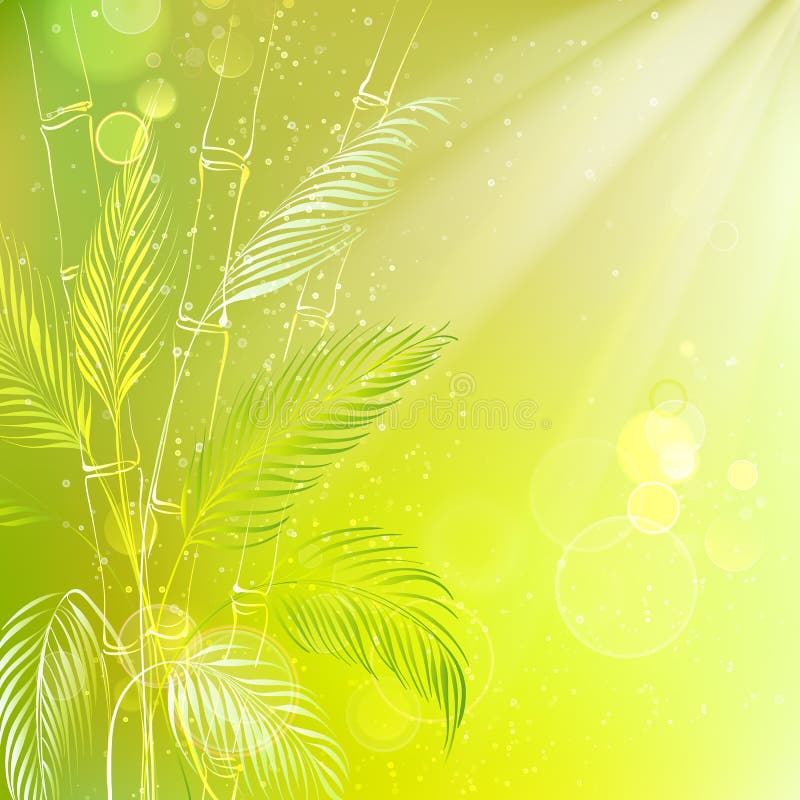 Morning Light Falls On A Forest. Stock Vector - Illustration of design ...