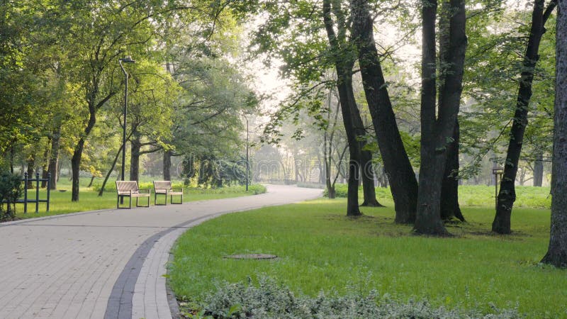 Morning Light Filters through Trees in a Tranquil Park Setting with ...