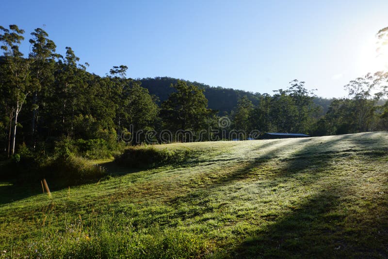 Morning light in meadow stock image. Image of morning - 59864729