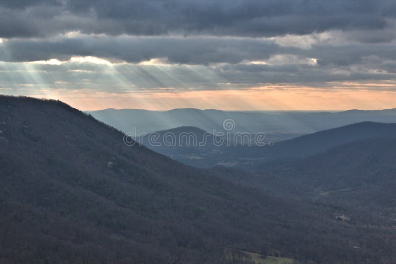 Morning light rays stock image. Image of scenery, parkway - 206702599