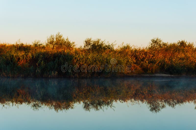Morning Light on River Banks Stock Photo - Image of environment ...