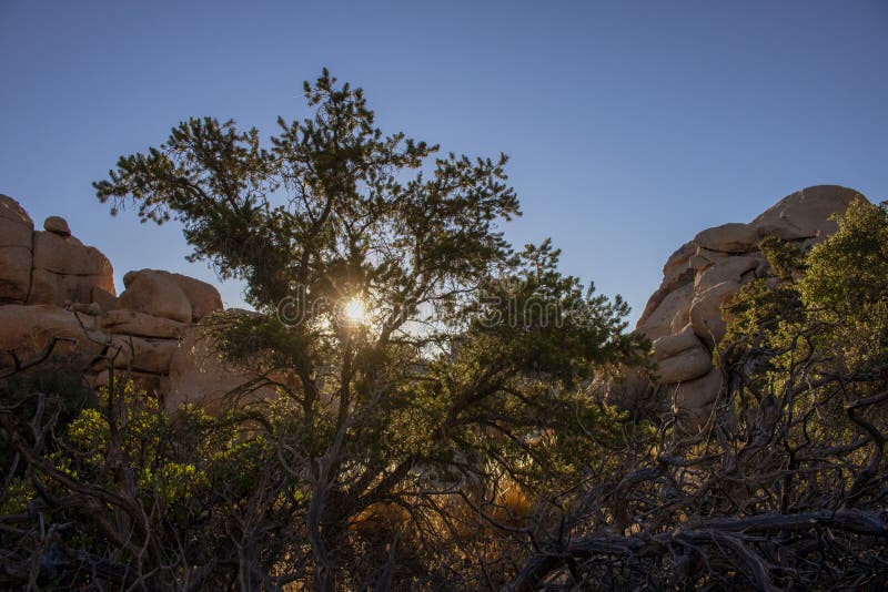 Morning Light through a Rock Formation in the Mojave Desert Stock Image ...