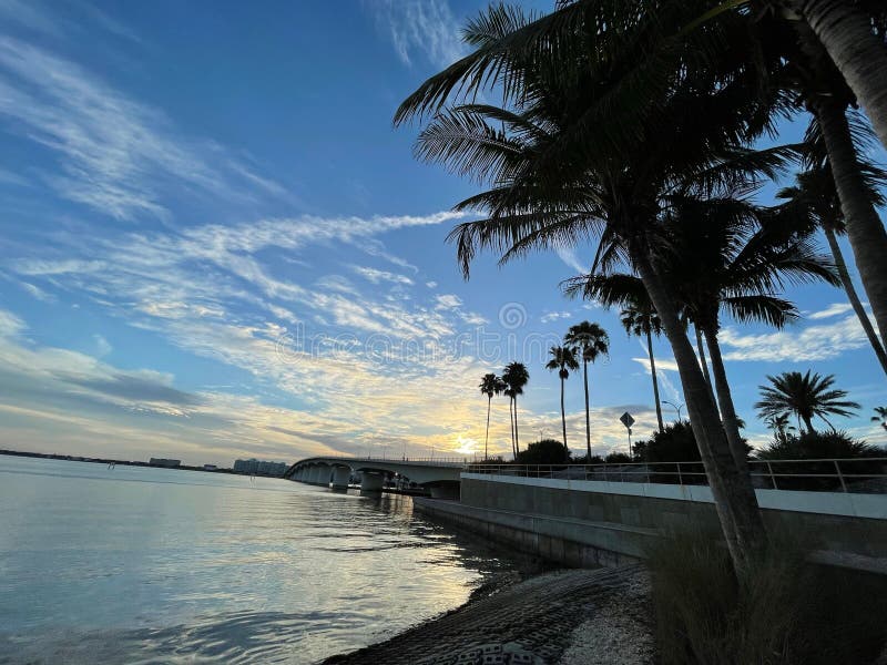 Morning Light in Sarasota Bayfront, Florida Stock Photo - Image of ...