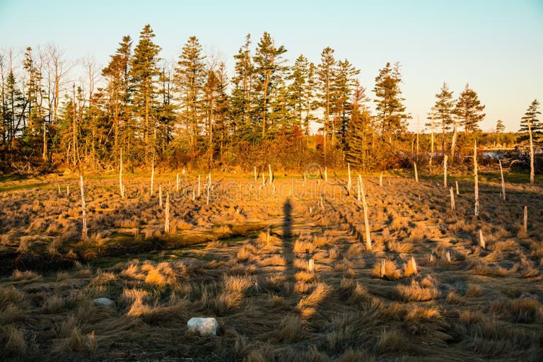 Morning light and shadows stock photo. Image of early - 188073416