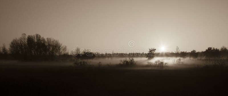 Morning light stock photo. Image of scene, morning, hiking - 49031258