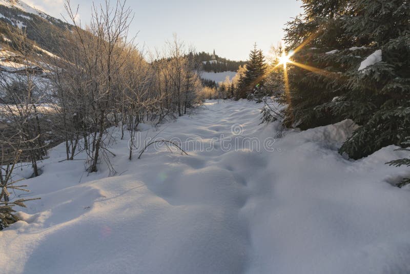 Morning Lights on Snowy Riverside Stock Photo - Image of frosty, lights ...