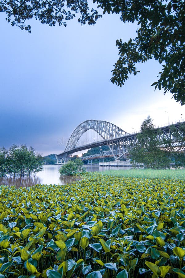 Morning on the Mahakam Bridge that Stands on the Mahakam River Stock ...