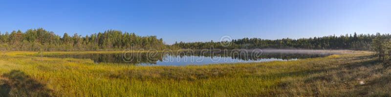 Morning in the marsh stock image. Image of reflection - 45089535