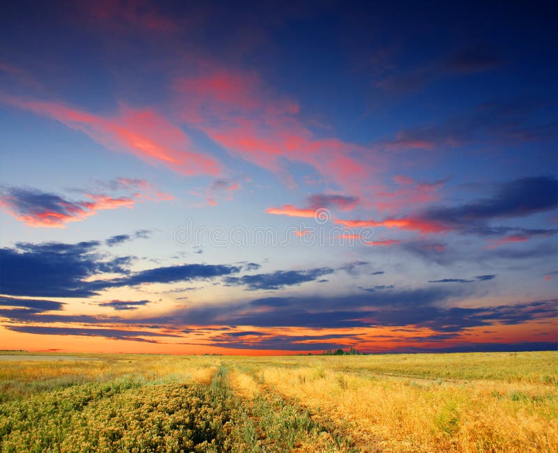 Morning in meadow stock photo. Image of beam, farm, colorful - 243231680