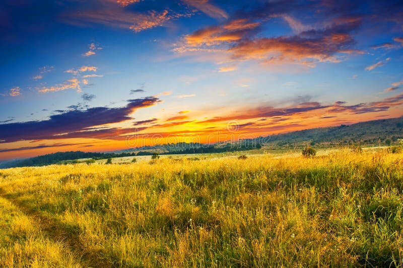 Morning in meadow stock photo. Image of beam, farm, colorful - 243231680